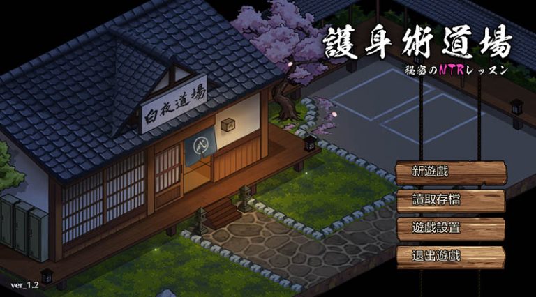 护身术道场 V1.9.10 官方中文版+DLC【更新】【动态】【2.5G】 - SSMACG